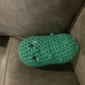 PATTERN ONLY, Easy Pickle Crochet Pattern, Instant DOWNLOAD - Etsy