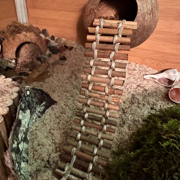 Bamboo Bridge- 4" Width - (perfect for Crested Geckos, Leopard Geckos ...