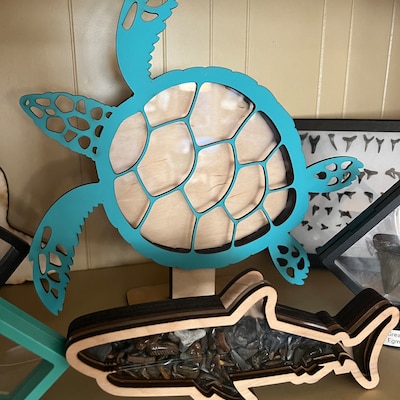 Shark Teeth MEGALODON Shadow Box for Shark Teeth, Small Shells, Fossils ...