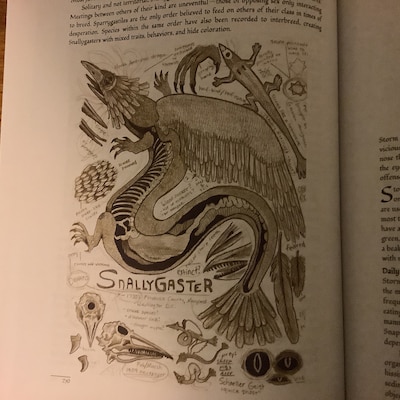 Monongy the Fish Folk: Cryptid Bestiary Sketch Art Print - Etsy