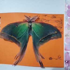 Silk Luna Moth Extra Large Lapel Pin Brooch 3d Three-layered - Etsy