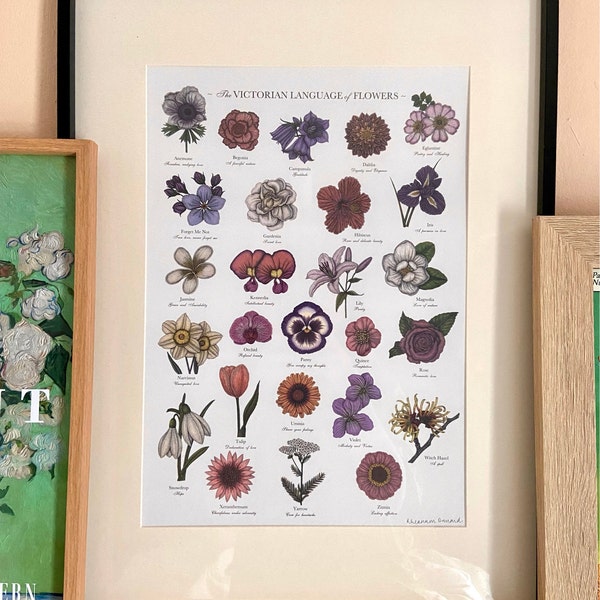 Victorian Language of Flowers Colour A3 Print - A to Z Flowers - Flower ...