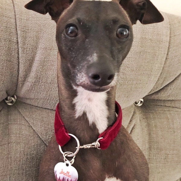 Forest Dog Tag Custom Pet Dog Tag Personalized Dog Tag Purple Forest ...