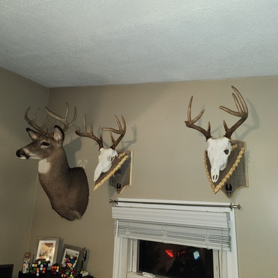 Euro Mount Pedestal - Etsy