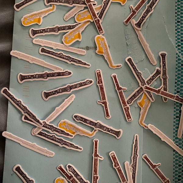 Chicken Laminated Sticker Pack | Chicken Instrument Stickers | Chicken ...