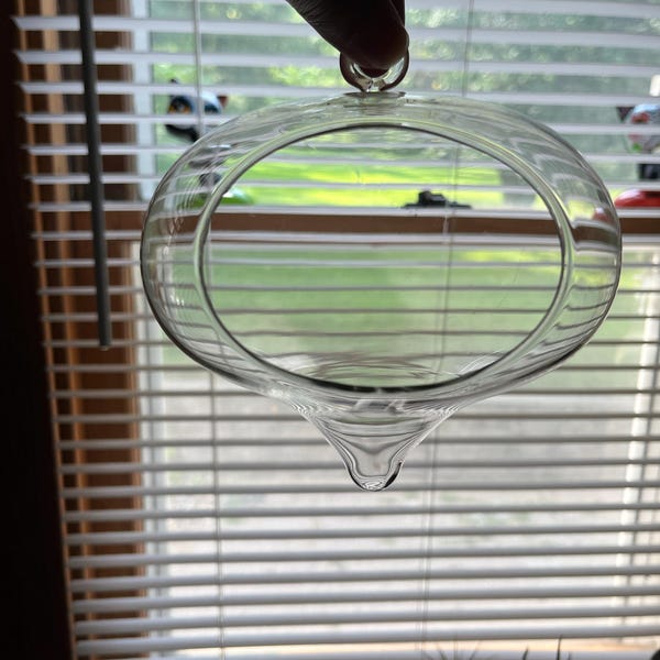 6" Hanging Glass UFO Capsule Plant Orb/terrarium - Etsy