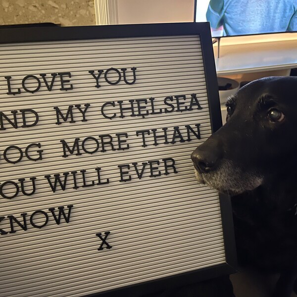 Black Frame White Background Personalised Retro Letter Board With 188 ...