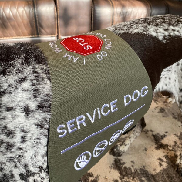 Dog Leash Wrap, Dog Leash Sleeve, Dog Leash, Dog Gear, Custom ...