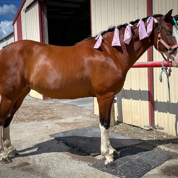 Western Brand Tail Mane Bag Set, Horses Tail Mane Bag Set, Mane Bag Set ...