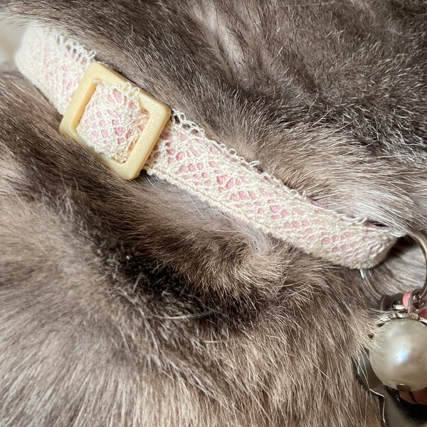 Cute Lace Cat Collar,pearl Cat Collar, Puppy Collar,lace Small Dog ...