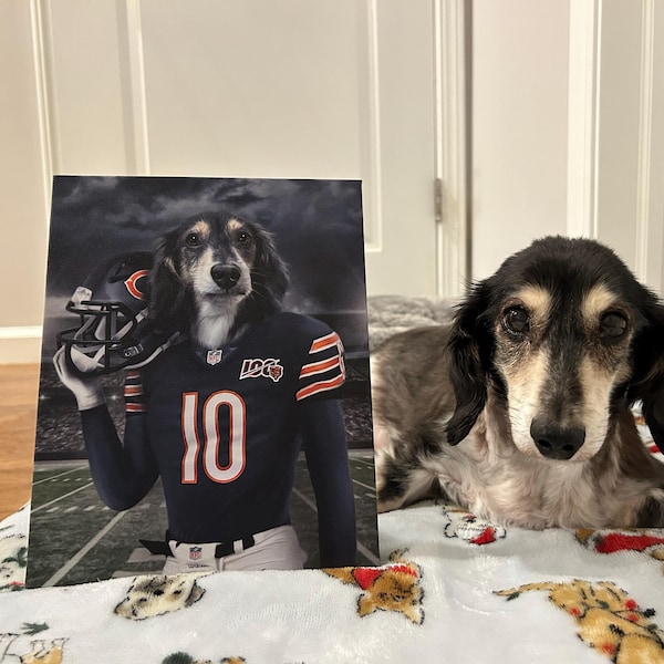 American Football Pet Portrait, NFL Dog Portrait, Poster, Custom Dog ...