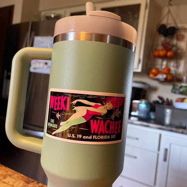 Destin Florida Sign Vinyl Decal/sticker! 5"x1.5". Waterproof! Made in ...