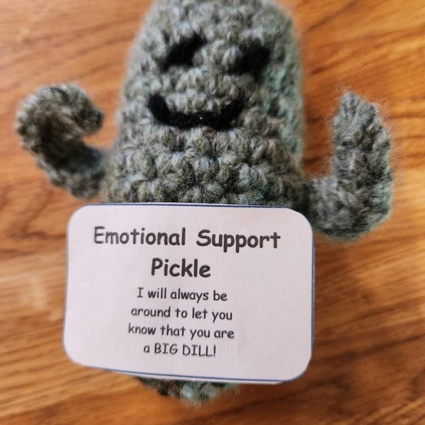Crochet PATTERN - No-sew Emotional Support Pickle - Etsy