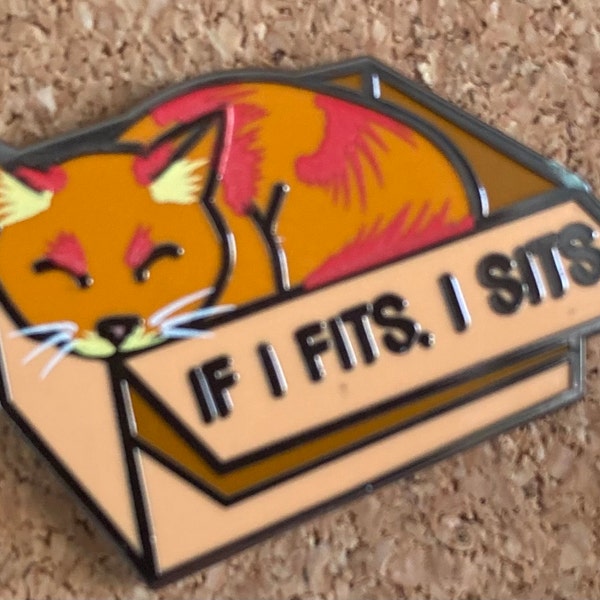 If I Fits I Sits Ginger Cat Pin Badge • Cute Cat in Box Enamel Pin ...