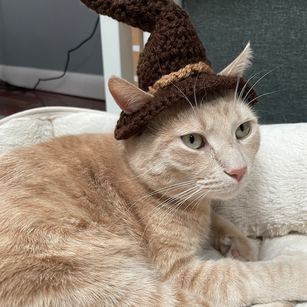 Wizard Cat Hat, Brown or Gray Wizard Hat for Cats With Ear Holes ...