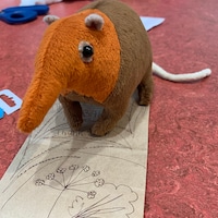 Elephant Shrew Stuffed Toy - Native African Animal Shrew Plush - Sengi ...