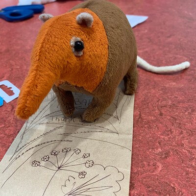 Elephant Shrew Stuffed Toy Native African Animal Shrew Plush Sengi ...