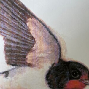 Robin Art A Red Breasted Robin Print. Originally a Bird Watercolor. A ...