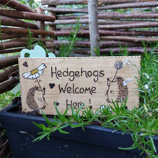 Hedgehog Garden Sign Solid Wood - Etsy