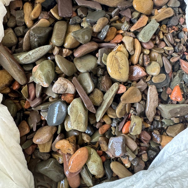 River Stone / Planted Aquarium / Decoration / Hardscape / Aquarium ...