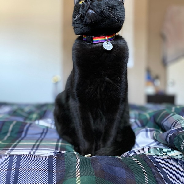 The Rainbow Breakaway Cat Collar - Etsy