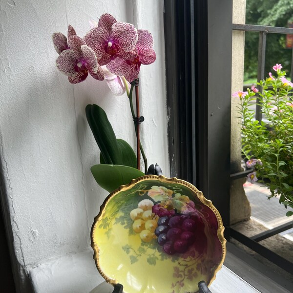 Vintage Murano Handblown Art Glass Amber Purse - Etsy