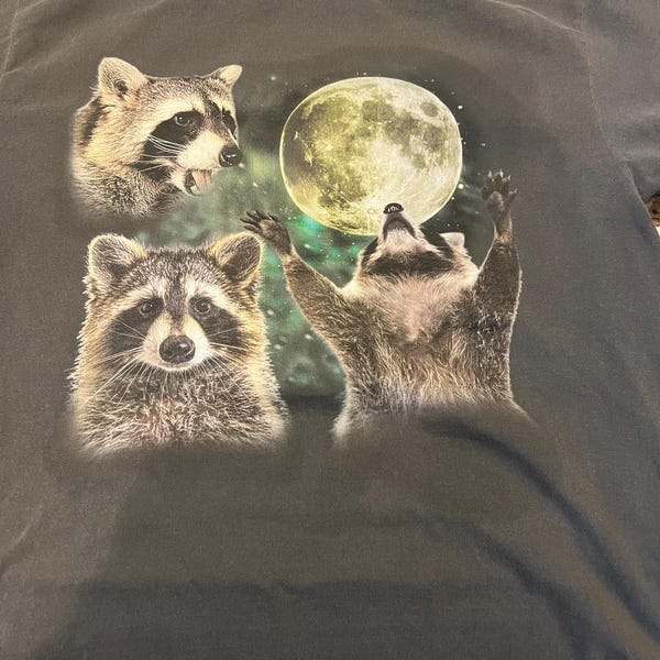 Three Raccoons Retro Graphic T-shirts, Vintage Comfort Colors® Raccoon ...