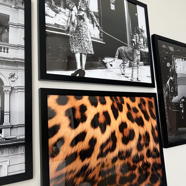 Department Store Segregation Print, Black and White, Vintage Photo ...