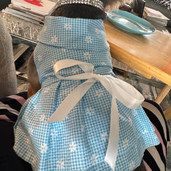 Dog Harness Bandana Fancy Ruffle Easy-on Harness 9 Sizes - Etsy