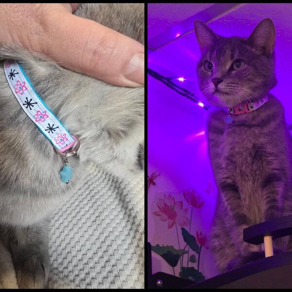 Star Cat Collar - White Stars on Pink - Small Cat / Kitten Size or ...