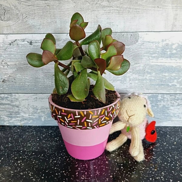 Hand Painted Baby Blue Bumble Bee Indoor Plant Pot, Terracotta Planter ...