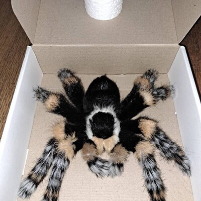 Spider Backpack Decor Tarantula Plush Insect Monster Bag Beetle Handbag ...