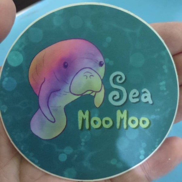 Glow in the Dark Floating Coral Shelf “montipora Capricornis” ,beach ...