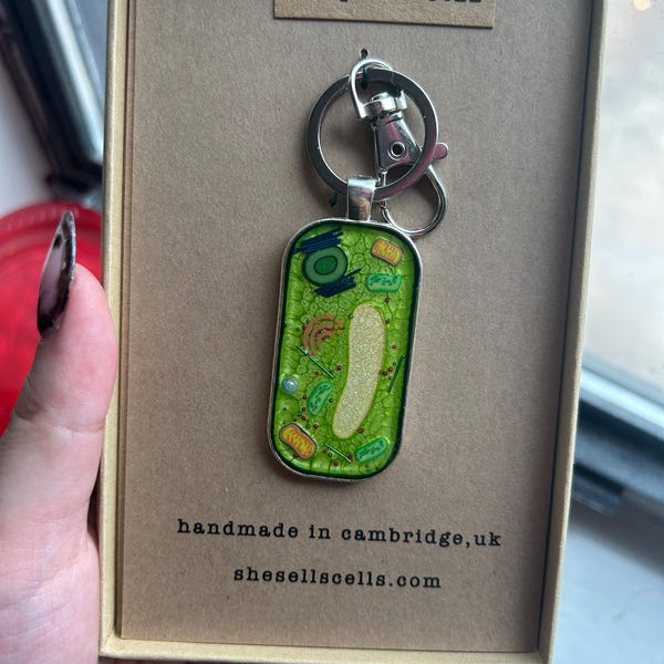 Plant Cell Key Chain - Key Ring - Cell Biology, Biology Gift, Key Chain ...