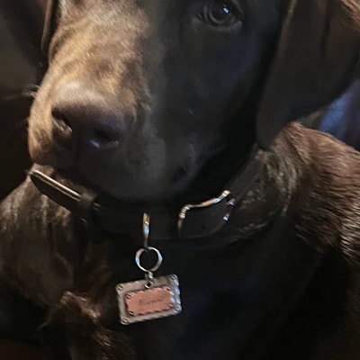 Large Dog Tag Personalized Pet ID Tag With Hand Stamped and Engraved ...