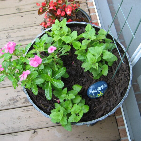 Be Still Hand Painted Rock, Lupine Painted Rock, Bible Verse Rock ...