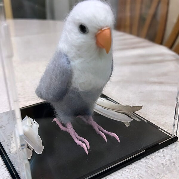 Cockatiel : wool Parakeet stuffed Animals - Etsy
