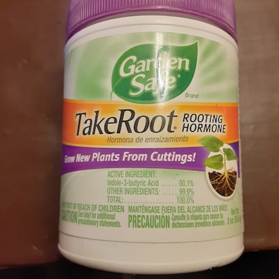Takeroot Rooting Hormone. 2oz Bottle - Etsy