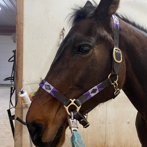 Anatomical Padded Leather Halter - Etsy