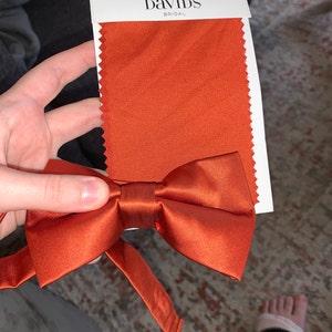 CASSIS Wedding Tie Men's Necktie Cassis Men's | Etsy