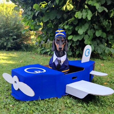 Custom Made Dog Cat Pet Pilot Captain Aviator Uniform Blazer Coat and ...