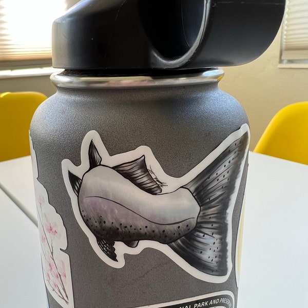 Cod Otolith Drops - Etsy