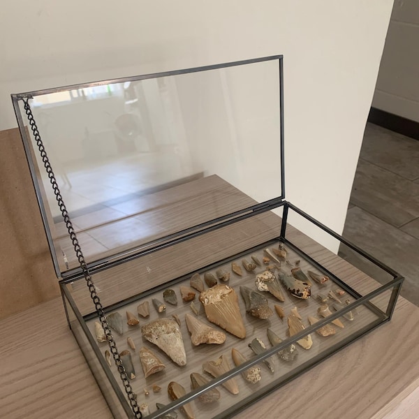 Elegant JEWELRY DISPLAY SHOWCASE Box – Unique Handmade Black Brass ...