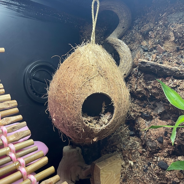 Coconut Hide -comes in 2 Sizes (great for Crested Geckos, Leopard ...