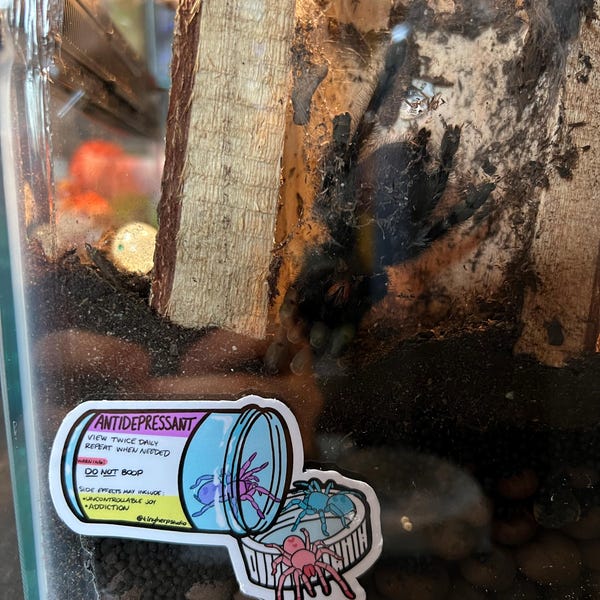 Western Hognose Snake Sticker - Etsy