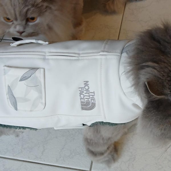 Pattern for Dogs Bandana 3XS-M | Velcro or Snap Bandana PDF Sewing ...