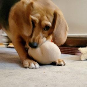 Catnip Cannoli Cat Toy - Etsy