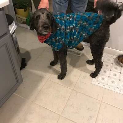 Ledger Sweater CROCHET Pattern Beginner Friendly Sweater for Dogs in 5 ...