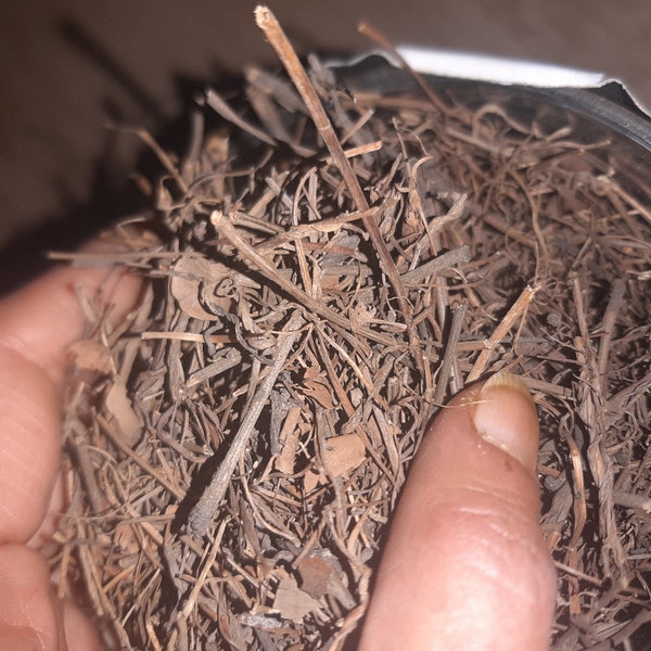 Satyanashi Seeds, Argemone Mexicana Seeds, Mexican Prickly Poppy ...