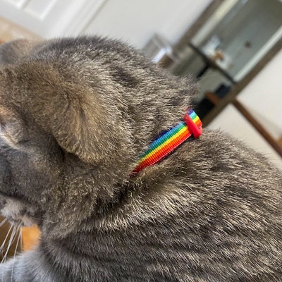 Rainbow Cat Collar Handmade Cat Collar, Love is Love, Pride Cat Collar ...